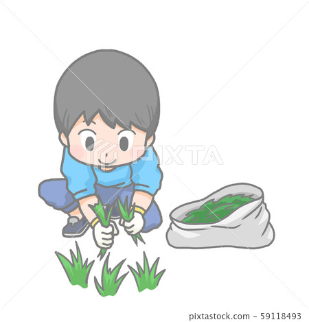 Illustration of a Boy Weeding - Stock Illustration [59118493] - PIXTA