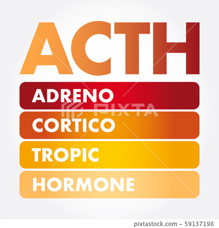ACTH - Adrenocorticotropic hormone acronym - Stock Illustration ...