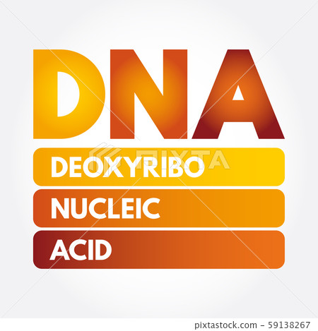 DNA - Deoxyribonucleic Acid acronym - Stock Illustration [59138267] - PIXTA
