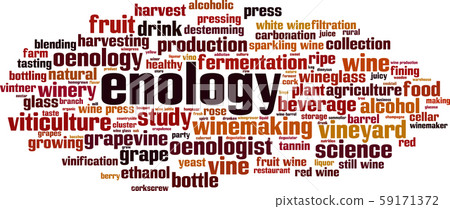 Enology word cloud - Stock Illustration [59171372] - PIXTA