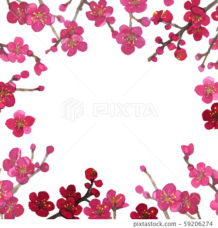 Plum frame - Stock Illustration [59206274] - PIXTA