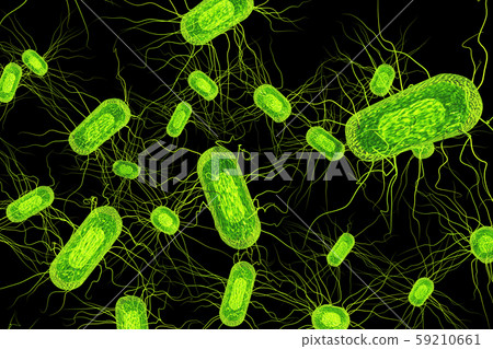 Illustration of E. coli (computer graphic) - Stock Illustration ...