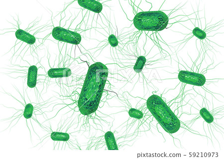 Illustration of E. coli (computer graphic:... - Stock Illustration ...