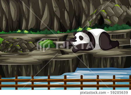 Scene with panda in the zoo - Stock Illustration [59285639] - PIXTA
