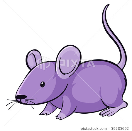 Purple mouse on white background - Stock Illustration [59285692] - PIXTA