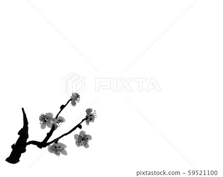 Ume (hand-drawn illustration of ink) - Stock Illustration [59521100 ...