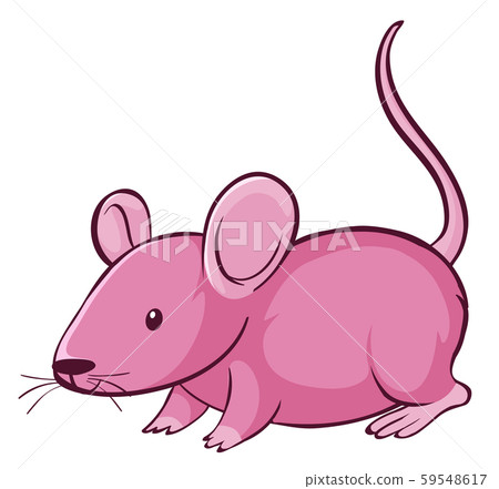 Pink rat on white background - Stock Illustration [59548617] - PIXTA