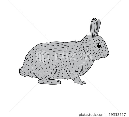Vector hand drawn sketch doodle gray rabbit - Stock Illustration ...