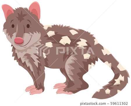 quoll cartoon wild animal character - Stock Illustration [59611302] - PIXTA