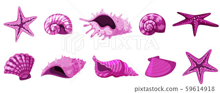 Set of isolated seashells in pink color - Stock Illustration [59614918 ...