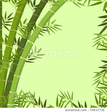 A green bamboo border - Stock Illustration [59615736] - PIXTA