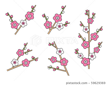 Ume vector illustration set - Stock Illustration [59629369] - PIXTA