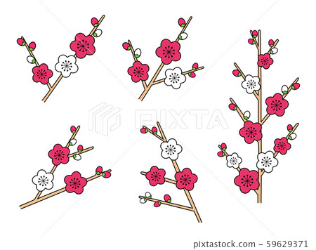 Ume vector illustration set - Stock Illustration [59629371] - PIXTA