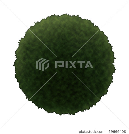 Marimo - Stock Illustration [59666408] - PIXTA