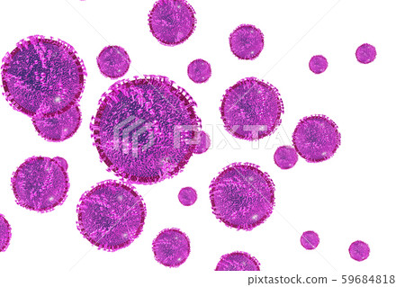 Illustration of influenza (white background) - Stock Illustration ...