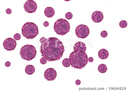 Illustration of influenza (white background) - Stock Illustration ...