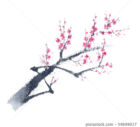 Ume ink painting sumi-e - Stock Illustration [59699017] - PIXTA