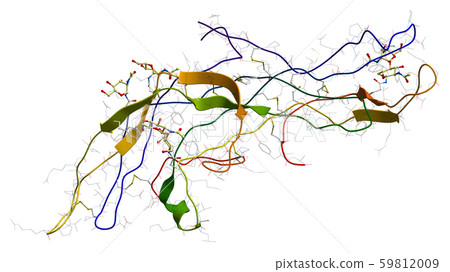 Human chorionic gonadotropin hormone - Stock Illustration [59812009 ...
