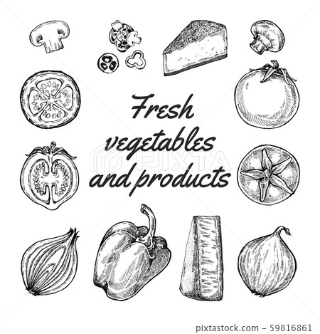 Vector products set of hand drawn vector sketches. - Stock Illustration ...