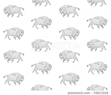 Vector seamless pattern of hand drawn wild bison - Stock Illustration ...
