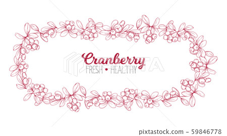 Cranberry. Element for design. - Stock Illustration [59846778] - PIXTA