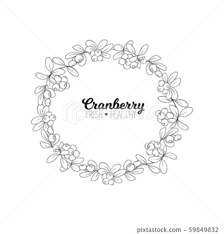 Cranberry. Element for design. - Stock Illustration [59849832] - PIXTA