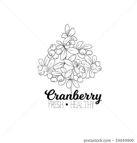 Cranberry. Element for design. - Stock Illustration [59849900] - PIXTA