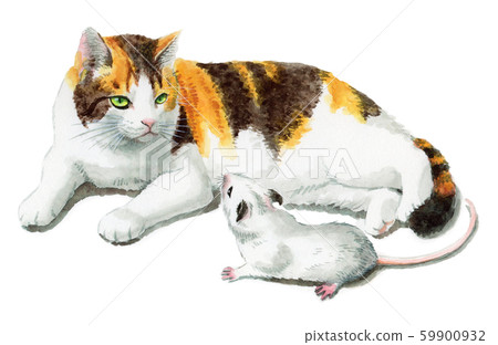Calico and white mouse painted in watercolor - Stock Illustration ...