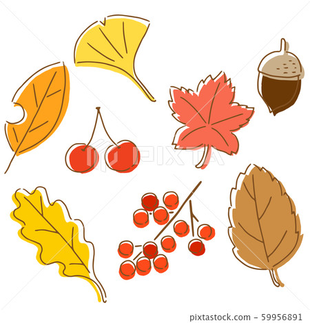 Fallen leaves nut line drawing - Stock Illustration [59956891] - PIXTA