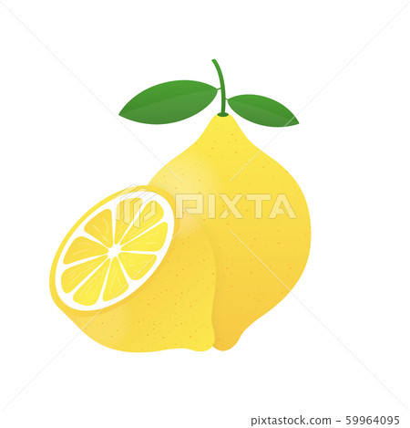 Lemon. Yellow lemon vector illustration... - Stock Illustration ...