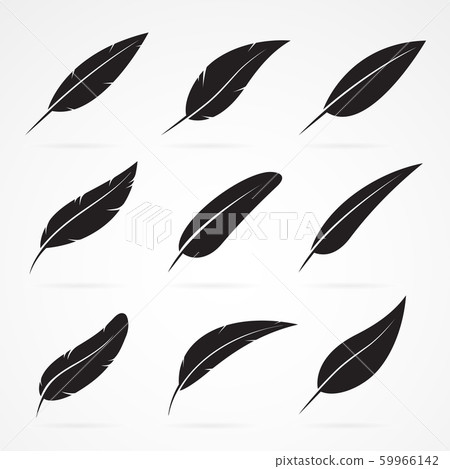 Vector group of feather on white background. - Stock Illustration ...