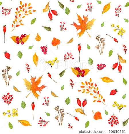 Seamless pattern with leaves, flowers and berries, - Stock Illustration ...