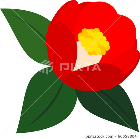 Tsubaki Tsubaki Early Spring - Stock Illustration [60059804] - PIXTA