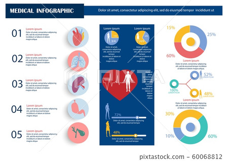Organs Performance Indicators Infographics Banner. - Stock Illustration ...