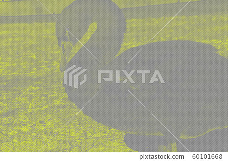 Japanese pattern swan - Stock Illustration [60101668] - PIXTA