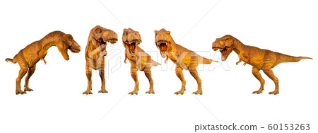 Tyrannosaurus rex ( T-rex ) is walking and - Stock Illustration ...