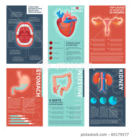 Medical infographic pages. Health digestive... - Stock Illustration ...