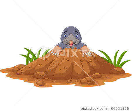 Cartoon mole come out of the hole - Stock Illustration [60231536] - PIXTA