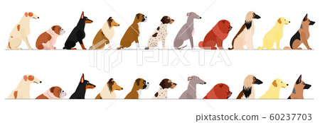 Horizontal dog border set Large dog - Stock Illustration [60237703] - PIXTA