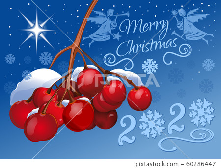 Holiday Christmas card 2020 with branch of rowan - Stock Illustration ...