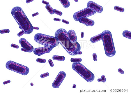 Illustration of E. coli (computer graphic) - Stock Illustration ...