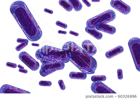 Illustration of E. coli (computer graphic) - Stock Illustration ...