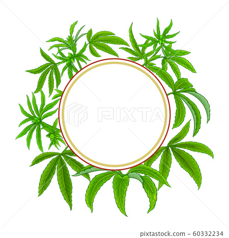 hemp vector frame - Stock Illustration [60332234] - PIXTA