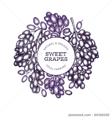 Grape design template. Hand drawn vector grape - Stock Illustration ...