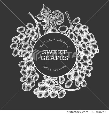 Grape design template. Hand drawn vector grape - Stock Illustration ...