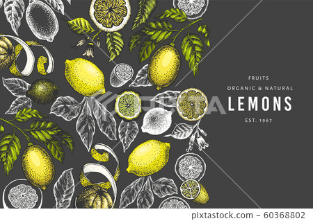Lemon tree design template. Hand drawn vector - Stock Illustration ...