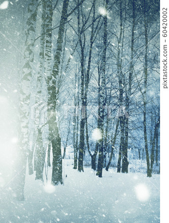 Trees under snowfall design - Stock Illustration [60420002] - PIXTA