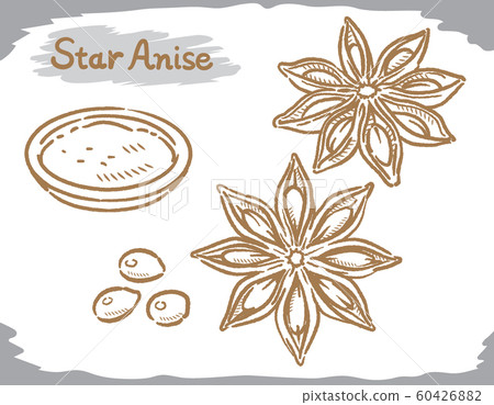 Star anise, octagon (spice) material - Stock Illustration [60426882 ...