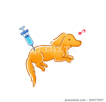 Dog injection - Stock Illustration [60477947] - PIXTA