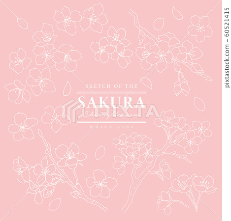 Stylish hand-drawn sakura set 02 / white line... - Stock Illustration ...
